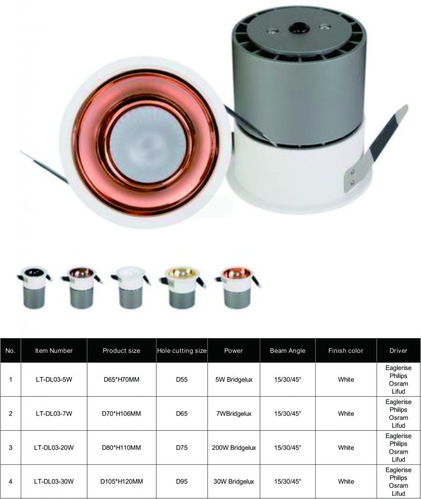 LED DOWNLIGHT LT-DL03-GLE - Lightstec-China LED Strip Light LED ...