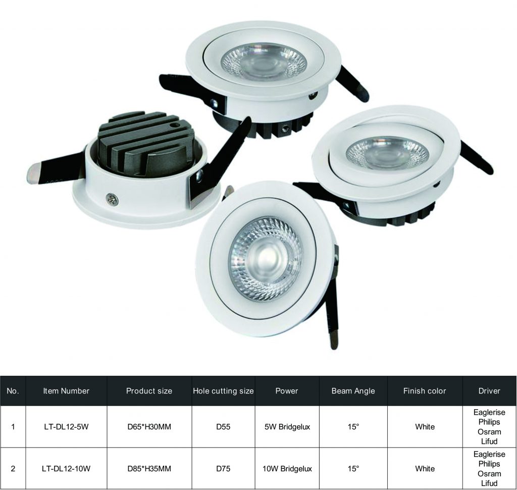 RECESSED MOUNTED DOWNLIGHT LT-DL12 - Lightstec-China LED Strip Light ...