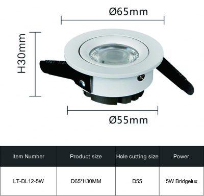 RECESSED MOUNTED DOWNLIGHT LT-DL12 - Lightstec-China LED Strip Light ...