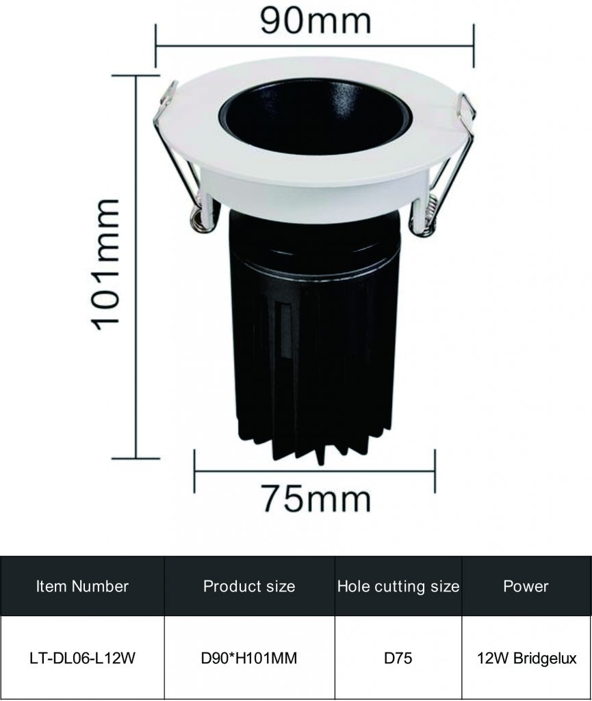 RECESSED MOUNTED DOWNLIGHT LT-DL06-LG - Lightstec-China LED Strip Light ...