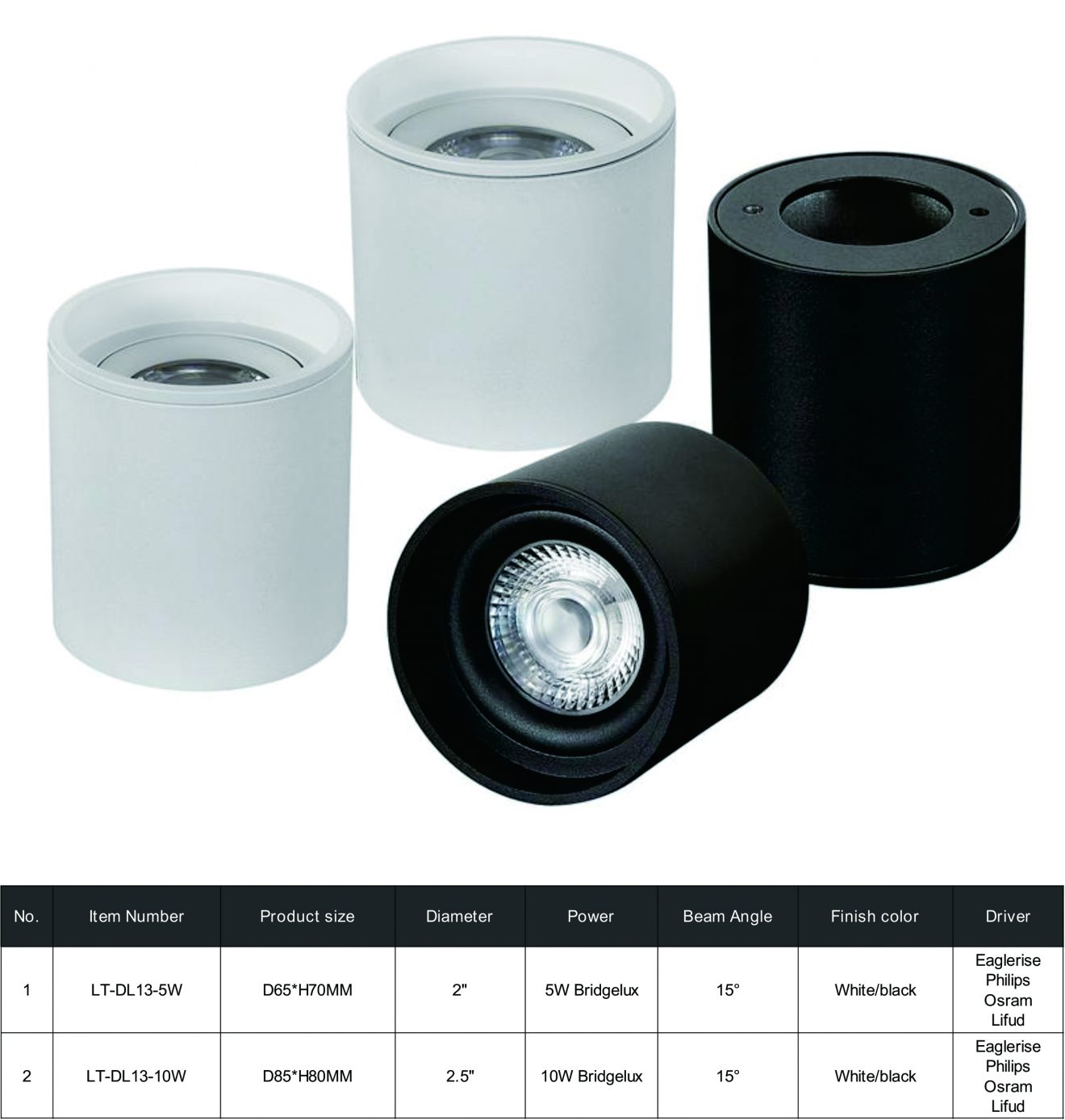 SURFACE MOUNTED DOWNLIGHT LT-DL13 - Lightstec-China LED Strip Light LED ...